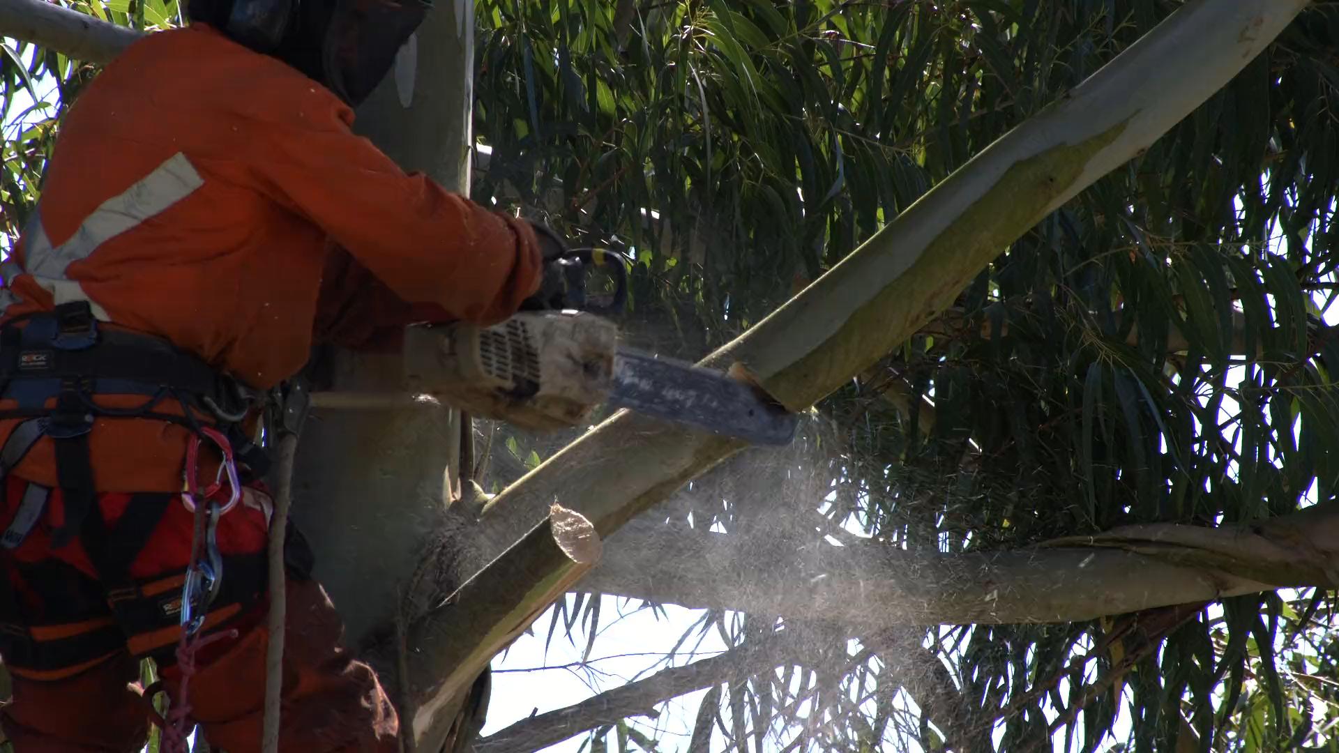 E&D expert tree service LLC - Get In Touch