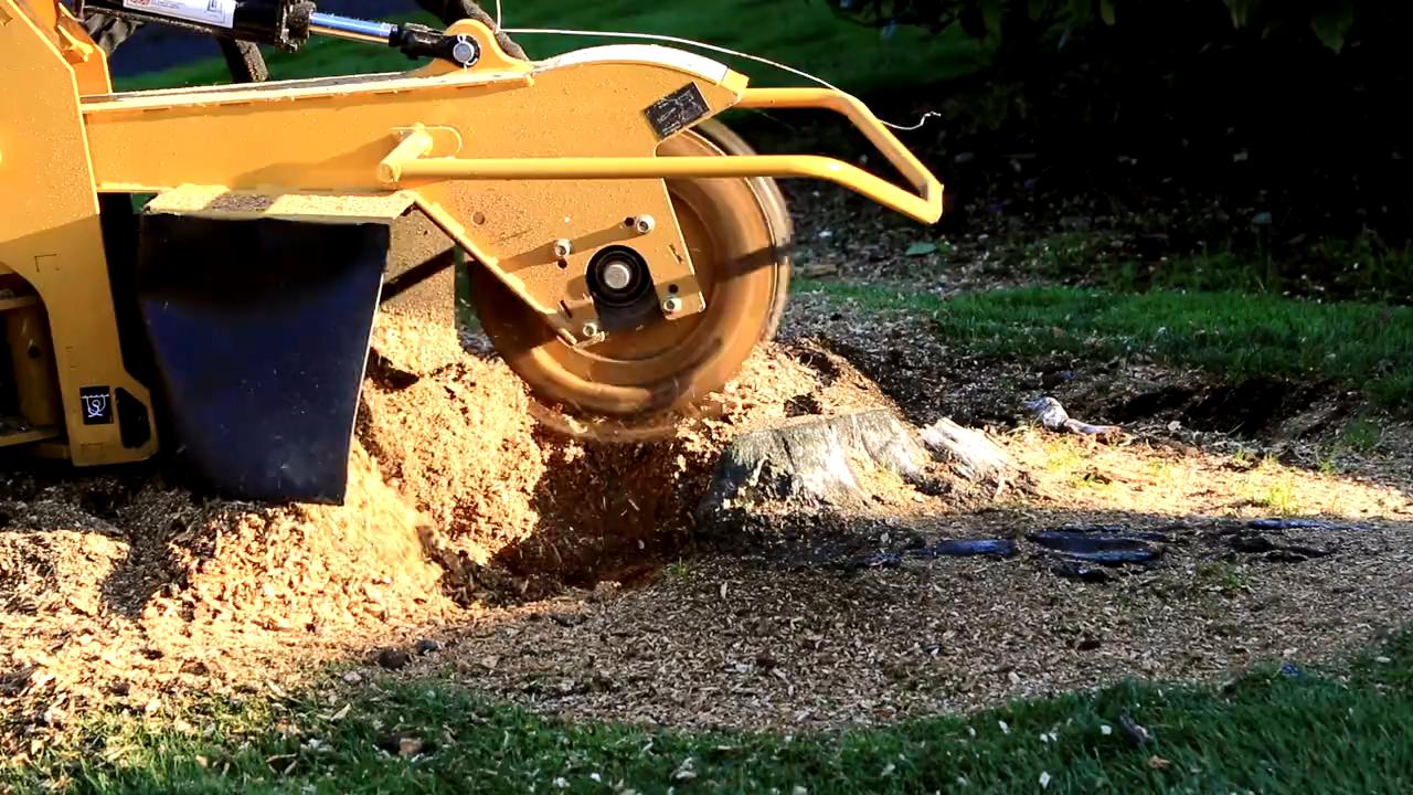 E&D expert tree service LLC - Get In Touch